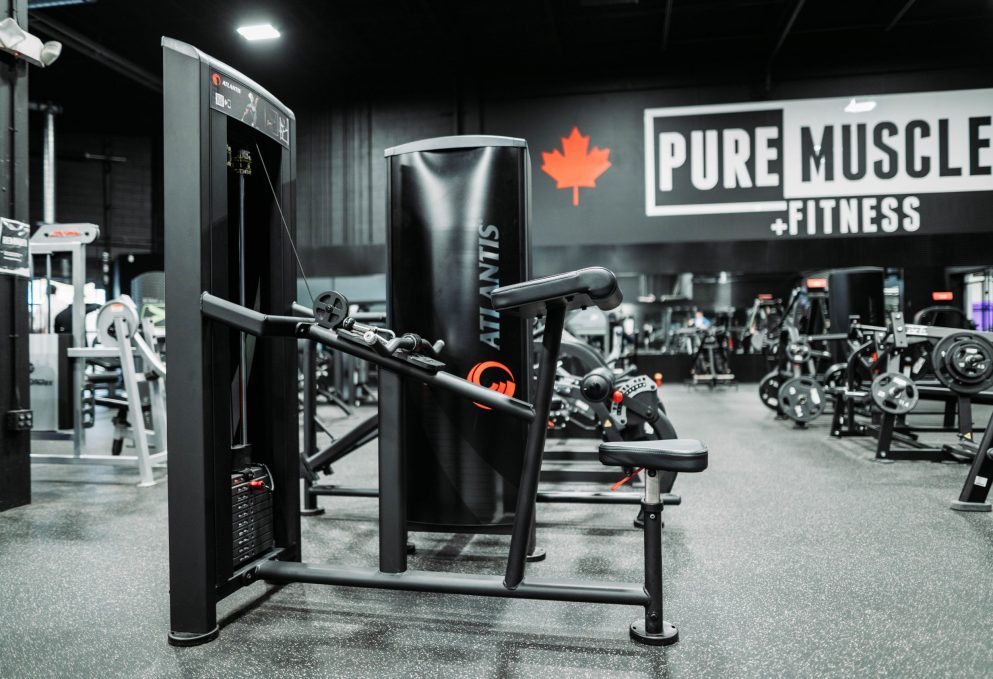 Gym Machines For Arms: High Performance - Atlantis