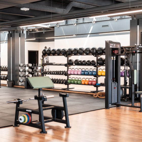 Strength Equipment for Gyms - Atlantis
